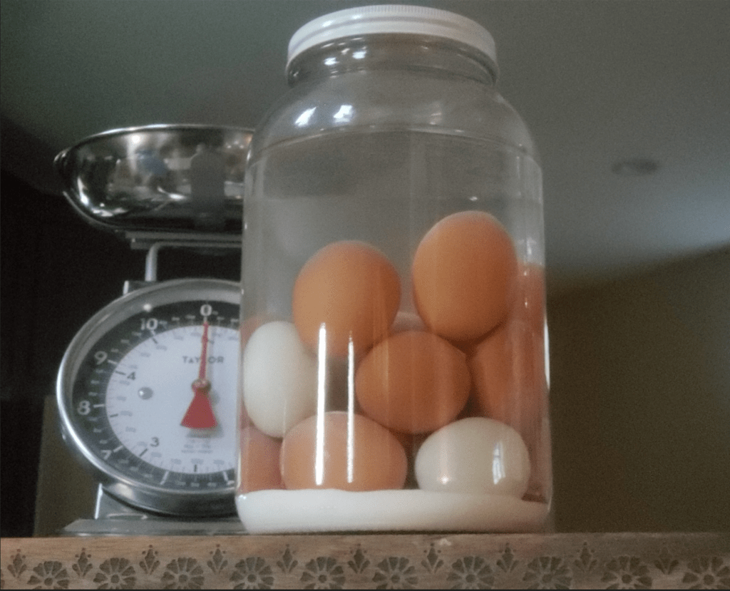 Water Glassing Eggs - Preserving for Winter - Purpose Driven Homestead